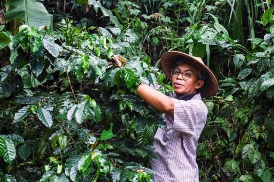 Mengenal Rumah Kopi Ranin Bogor bersama Tejo Pramono | Radio Idola Semarang