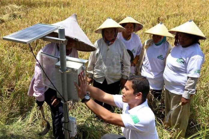 Mengenal Aplikasi Sensor Cuaca dan Tanah (AWS) bersama Bayu Dwi Apri ...