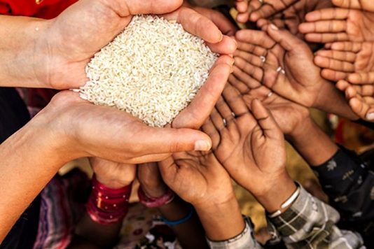 Badan Pangan Nyalakan Alarm Krisis Pangan, Apa Saja Langkah Antisipasi yang Bisa Kita Lakukan ...